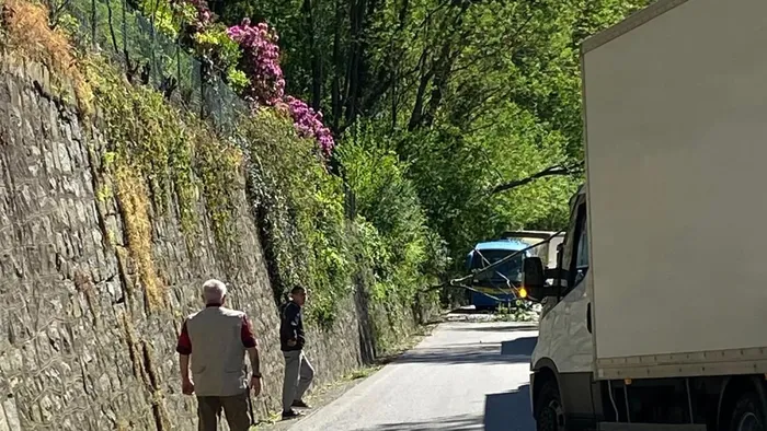 Alberi caduti per il vento sulla Biella-Pavignano