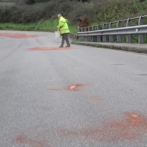 Rischia un incidente per una chiazza di gasolio - Cronaca Cronaca Locale