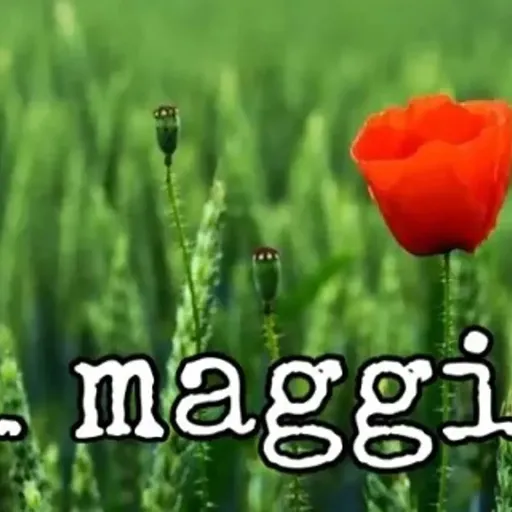 Primo maggio, su coraggio! - Attualità